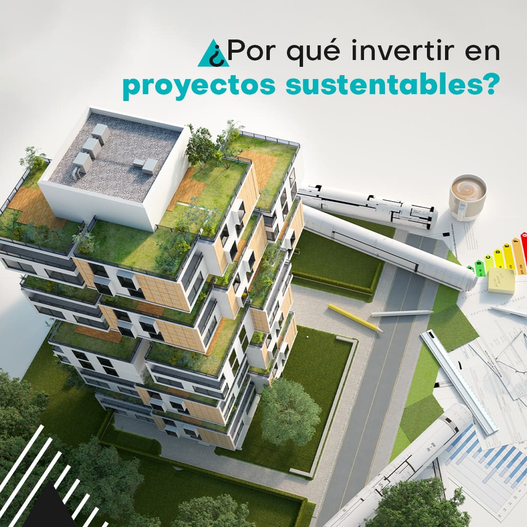 ¿Por qué invertir en proyectos sustentables? - More